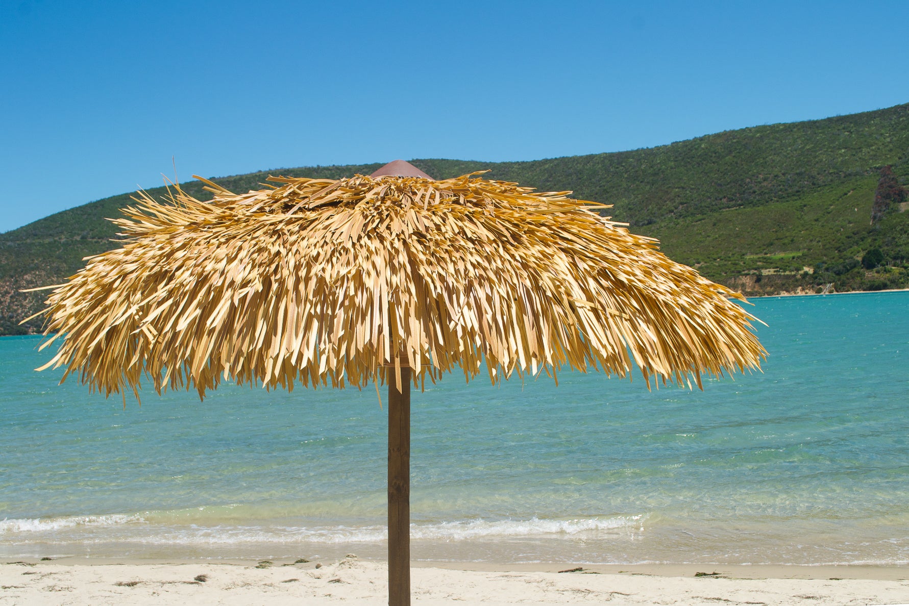 Thatch Umbrellas – thatchandshade